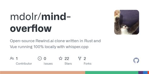 Github Mdolrmind Overflow Open Source Rewindai Clone Written In Rust And Vue Running 100