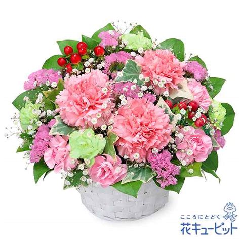 17時迄の注文で翌日届可【誕生日の花】 フラワーギフト 花 誕生日 お祝い 記念日 プレゼント 彼氏彼女 夫婦 祖父母 友達 友人 花キュー