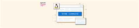 Tree Command In Linux Scaler Topics