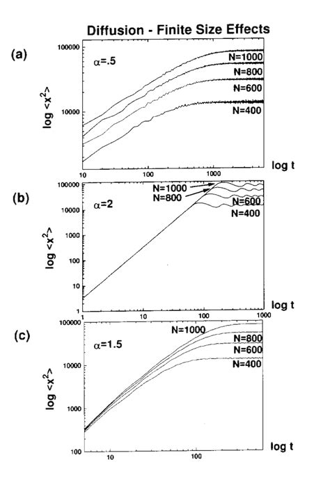 log log plots of the mean squared displacement in units of lattice