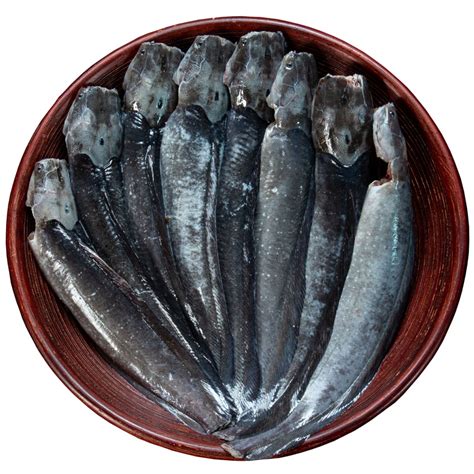 মাগুর Magur Heritage Bd