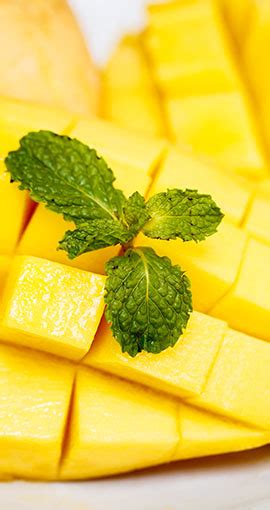 About Elswedy Food Industries