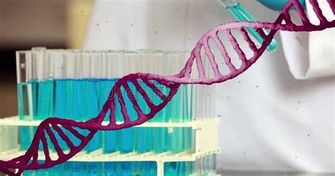 Image Of Dna Strand And Scientific Data Processing Over Male Scientist In Laboratory Stock Image