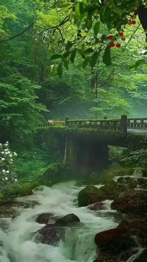 Best Places To Visit In Kerala During Monsoon Season Artofit