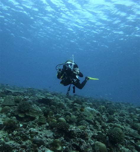 Conheça o vencedor do Desafio 2024 PADI Master Scuba Diver Desafio