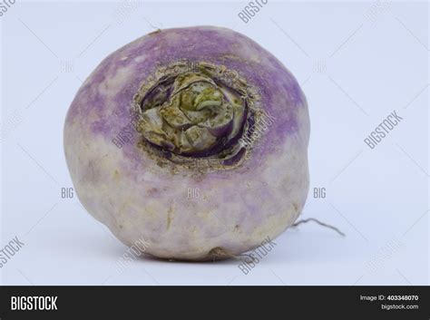 Turnip Brassica Rapa Image Photo Free Trial Bigstock