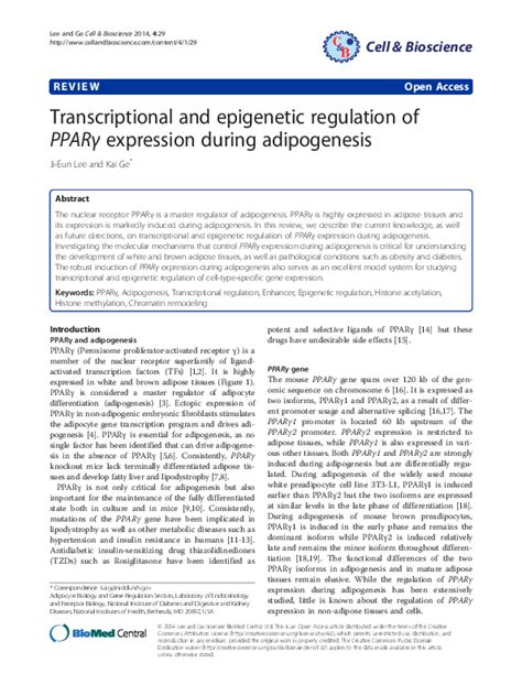 Pdf Transcriptional And Epigenetic Regulation Of Pparγ Expression