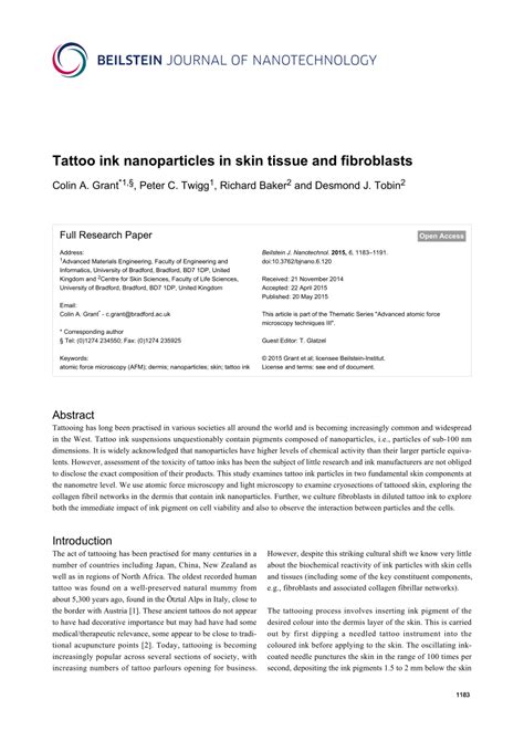 PDF Tattoo Ink Nanoparticles In Skin Tissue And Fibroblasts