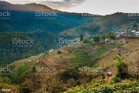 풍경을 산 및 딸기 농장을 쑤판부리 Thailan 0명에 대한 스톡 사진 및 기타 이미지 0명 Doi Ang Khang