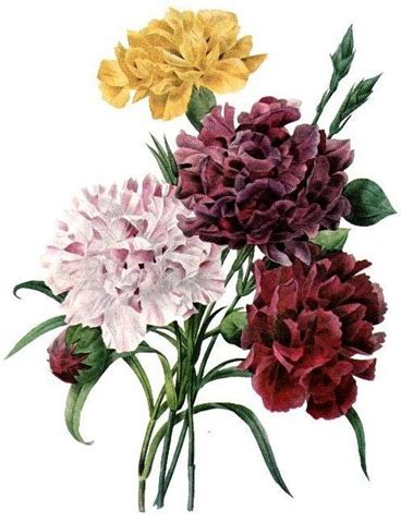Free Vintage Flowers Clip Art Vintage Holiday Crafts