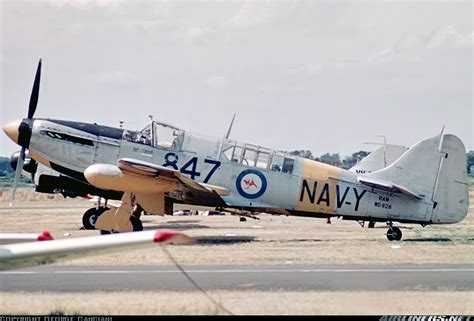 Fairey Firefly Tt6 Australia Navy Aviation Photo 0207585