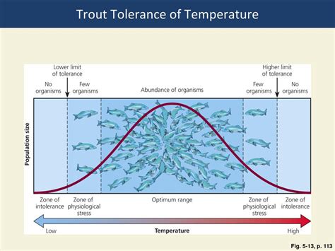 Chapter 5 Biodiversity Species Interactions And Population Control Ppt Download