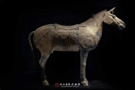 陕历博秦汉馆藏品，集中亮相！ 陕西省西咸新区开发建设管理委员会
