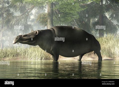 Moeritherium