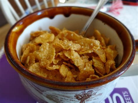 Product Review Kelloggs Crunchy Nut Cereal Concert Katie