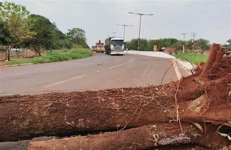 Indígenas bloqueiam rodovia para cobrar mais segurança em aldeias de MS Interior Campo