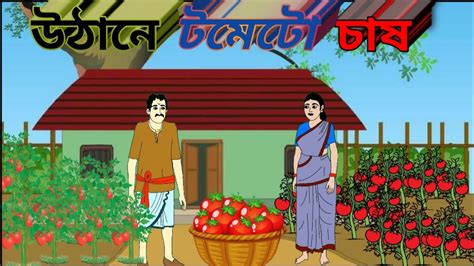 উঠানে টমেটো চাষ Golpo Bangla Bengali Moral Stories Cartoon