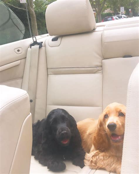 Doesnt Matter Where Youre Going Its Who You Have Beside You