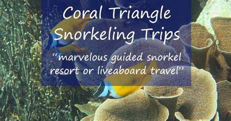 Snorkeling Honolua Bay Worth The Drive Hike And Long Swim