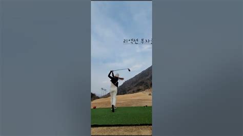대구 골프영상 여성골퍼 굿샷모음 뒷모습영상 드라이브샷만 2021 6 5부터 2023 6 2일까지 40대여자 신장154cm 꼬마
