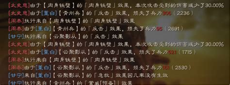 「网红董白甘宁测评」黑科技双人舞，1秒5刀，反击流“量”的极致！ 三国志·战略版 新赛季开启攻略 小米游戏中心