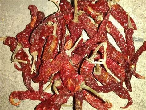 Guntur Byadgi Red Dry Chilli 25 Kg At Rs 350kg In Byadgi Id 24683493433
