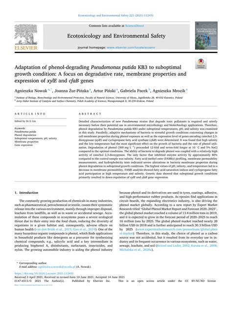 Pdf Adaptation Of Phenol Degrading Pseudomonas Putida Kb3 To Suboptimal Growth Condition A