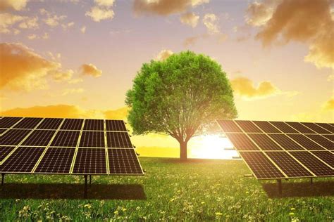 Qué Es La Licencia Energética Para El Uso De Fuentes Renovables