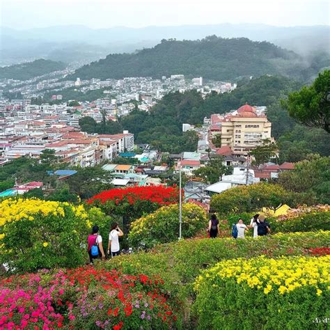 Phượt Đà Lạt Bằng Ô Tô Cẩm Nang Từ A Đến Z Cho Chuyến Đi Hoàn Hảo Xe