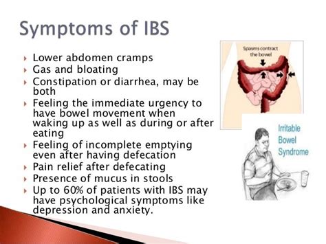 What Is The Best Probiotic For Ibs