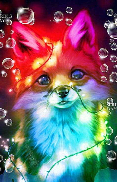 Cute Rainbow Fox Art Adorable Kitten Drawings