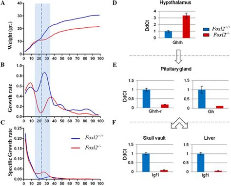 Comparison Of Postnatal Weight Growth Curves And Igf1gh Axis Gene