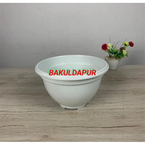 Detail Gambar Bunga Putih Polos Koleksi Nomer 24