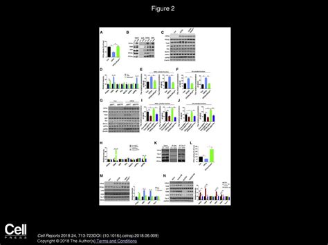 Volume 24 Issue 3 Pages July 2018 Ppt Download