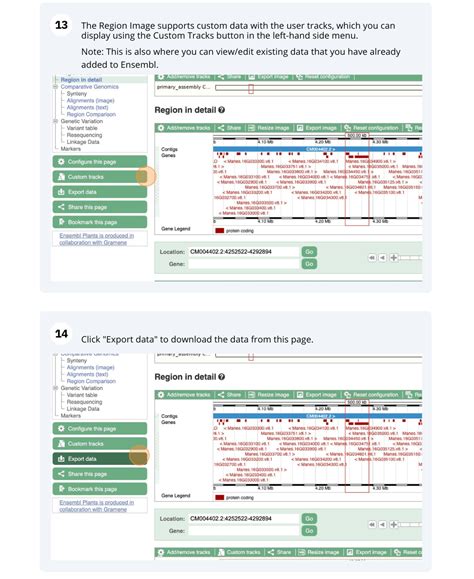 Exploring Genomic Regions In Ensembl Plants Demo