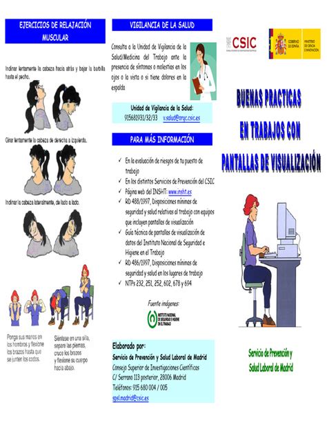 Buenas Practicas En Trabajos Con Pantallas De Visualizacion Pdf
