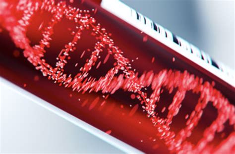 膝の再生医療の費用はどれくらいかかるの？保険適用や高額医療費制度についても解説！ 再生医療doc 再生医療を提供するおすすめ名医を中心に掲載