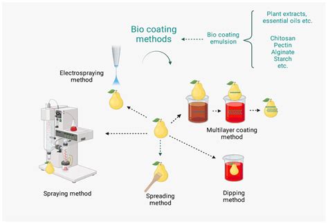 Bio Coatings For Preservation Of Fresh Fruits And Vegetables