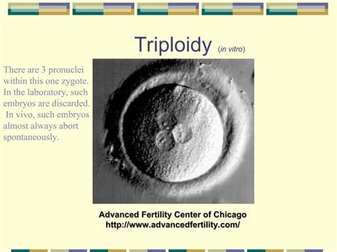 Fertilizationppt099877666554433333 222111 Ppt Free Download