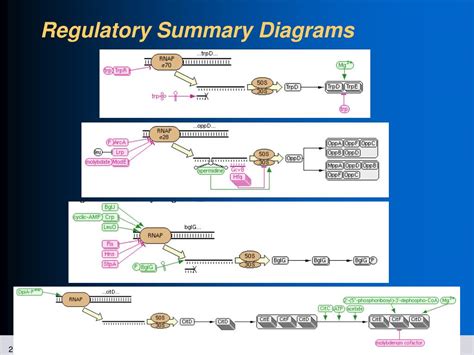 Ppt The Pathway Tools Software And Biocyc Database Collection