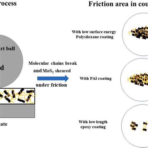 Evolution Of Friction Coefficient Versus Entrainment Speed Curves