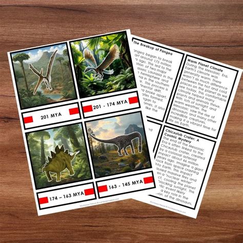 Mesozoic Era Timeline Second Great Lesson 3 Part Cards Vocabulary