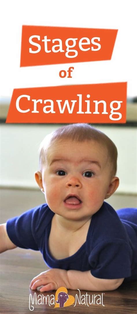 when can infants crawl - Dallascollege Innovation