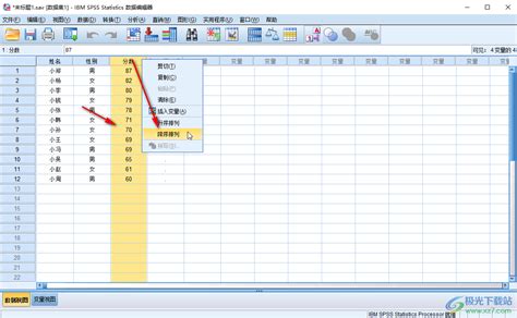 Spss怎么排序 Spss对数据进行排序的方法教程 极光下载站