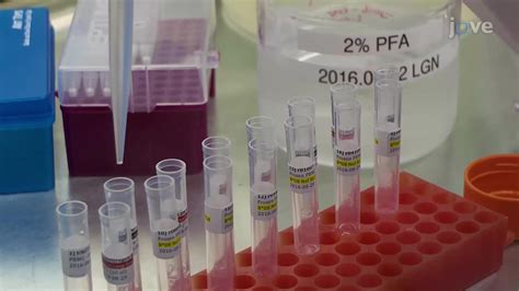 A Peptide Mhc I Tetramer Staining Technique To Analyze Siv Specific Cd8
