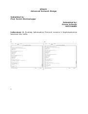 Laboratory Routing Information Protocol Implementation Docx MN Advanced Network Design