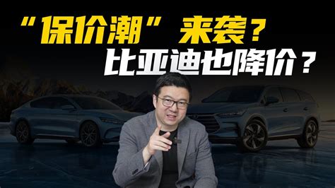 为何车企纷纷推出保价政策？比亚迪也降价吗？ Youtube
