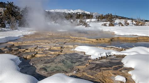 Mammoth Header Fotospot