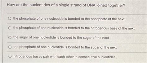 Solved How Are The Nucleotides Of A Single Strand Of DNA Chegg Com
