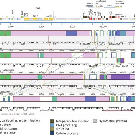 BLAST Homology Search Results The Homology Of The Whole Nucleotide